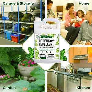 Mighty Mint Gallon (128 oz) Rodent Natural Peppermint Oil Spray