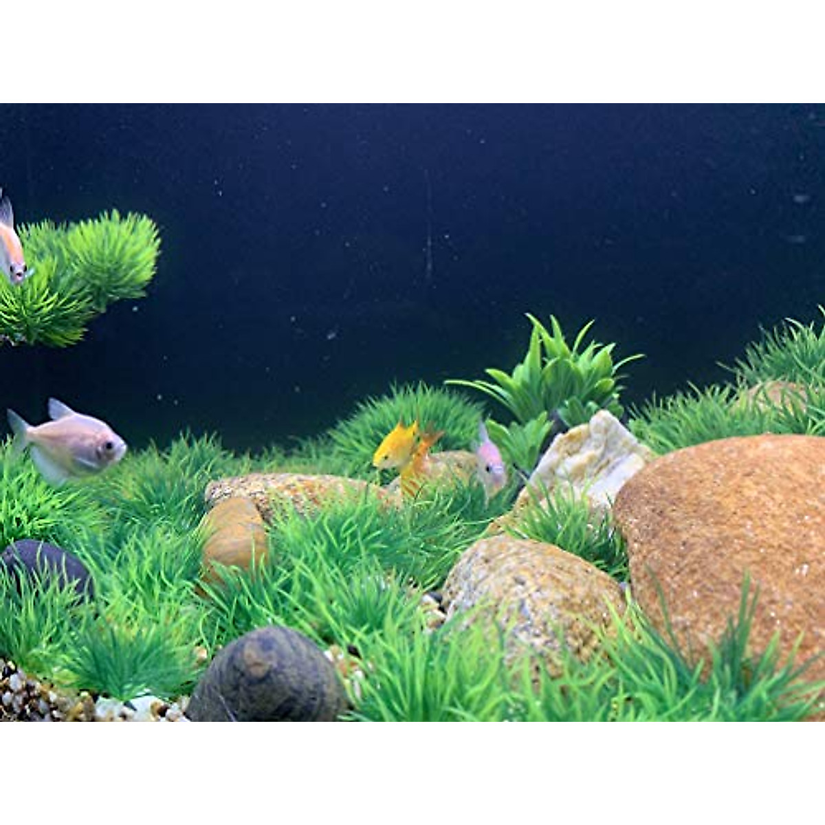 Artificial Aquarium Green Water Plants Tree Set 25 Pcs, Fish Tank Aquarium Decorations, Made of Soft Plastic, Safe for All Fish & Pets (Set 1)