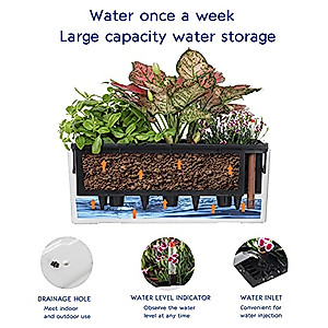 GardenBasix Elongated Self Watering Planter Pots Window Box 5.5 x 16 inch with Coconut Coir Soil Indoor Home Garden Modern Decorative Planter Pot for All House Plants Flowers Herbs 1, White 5.5" x16”