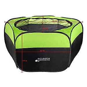 Incubator Warehouse Insta Brooder™ with Vrooder™ Heater Plate