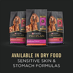 Purina Pro Plan Sensitive Skin and Stomach Wet Dog Food Pate Salmon and Rice Entree - (12) 13 oz. Cans