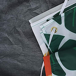 PAKBOOM Rawr I'm 3 Backdrop Banner - 3rd Third Dinosaur Birthday Decorations Party Supplies for Boys - 3.9 x 5.9ft