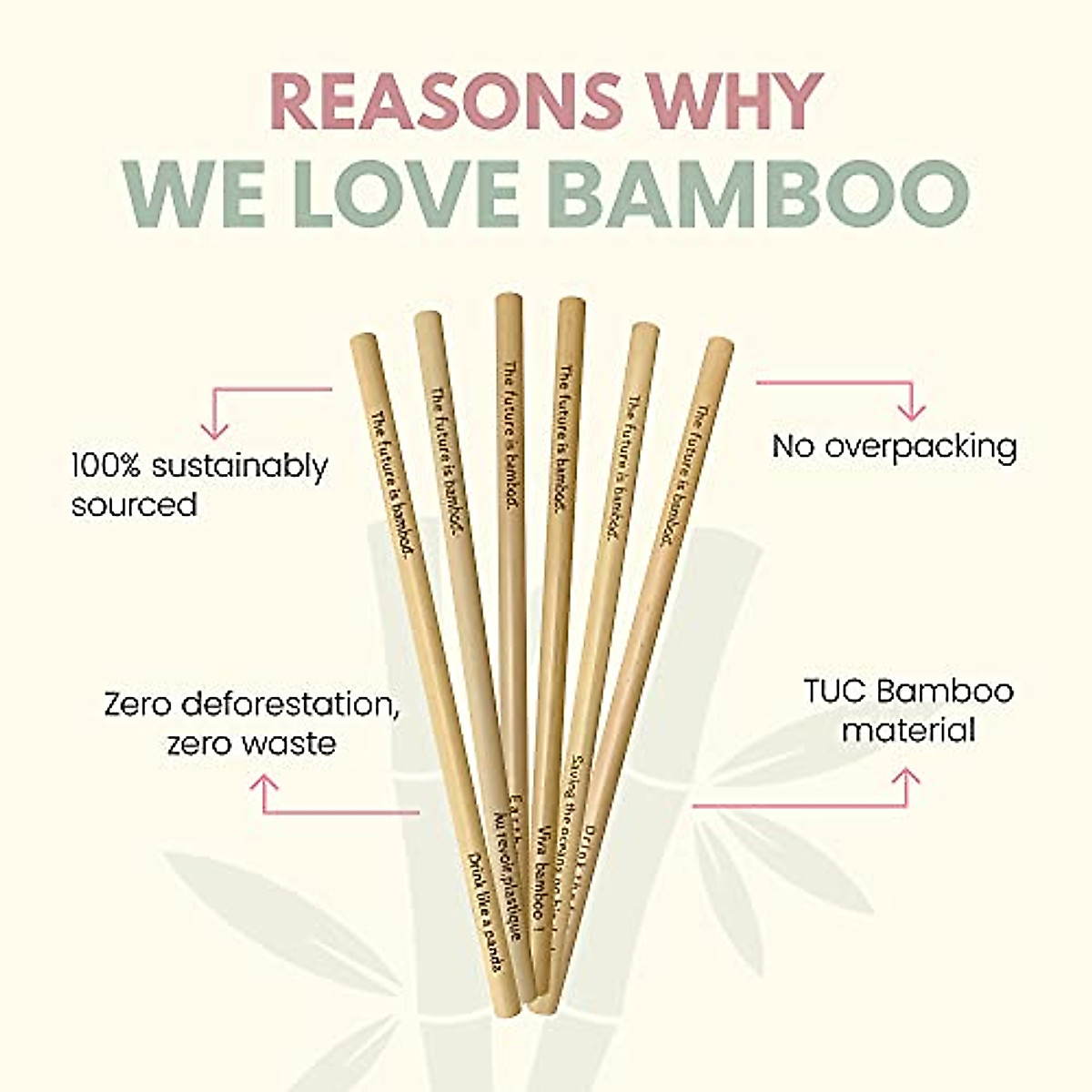 The Future is Bamboo – Bamboo Straws, Reusable Straws, Wooden Straws for Drinks, Pack of 6