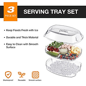 Newbro Chilled Veggie Tray with Lid, Shrimp Cocktail Serving Dishes for Entertaining, Ice Serving Platters and Trays Cold Travel Cookout Tailgate Essentials, Appetizer Fruit Snack Tray for Party Clear