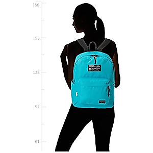 JANSPORT Recycled SuperBreak Backpack