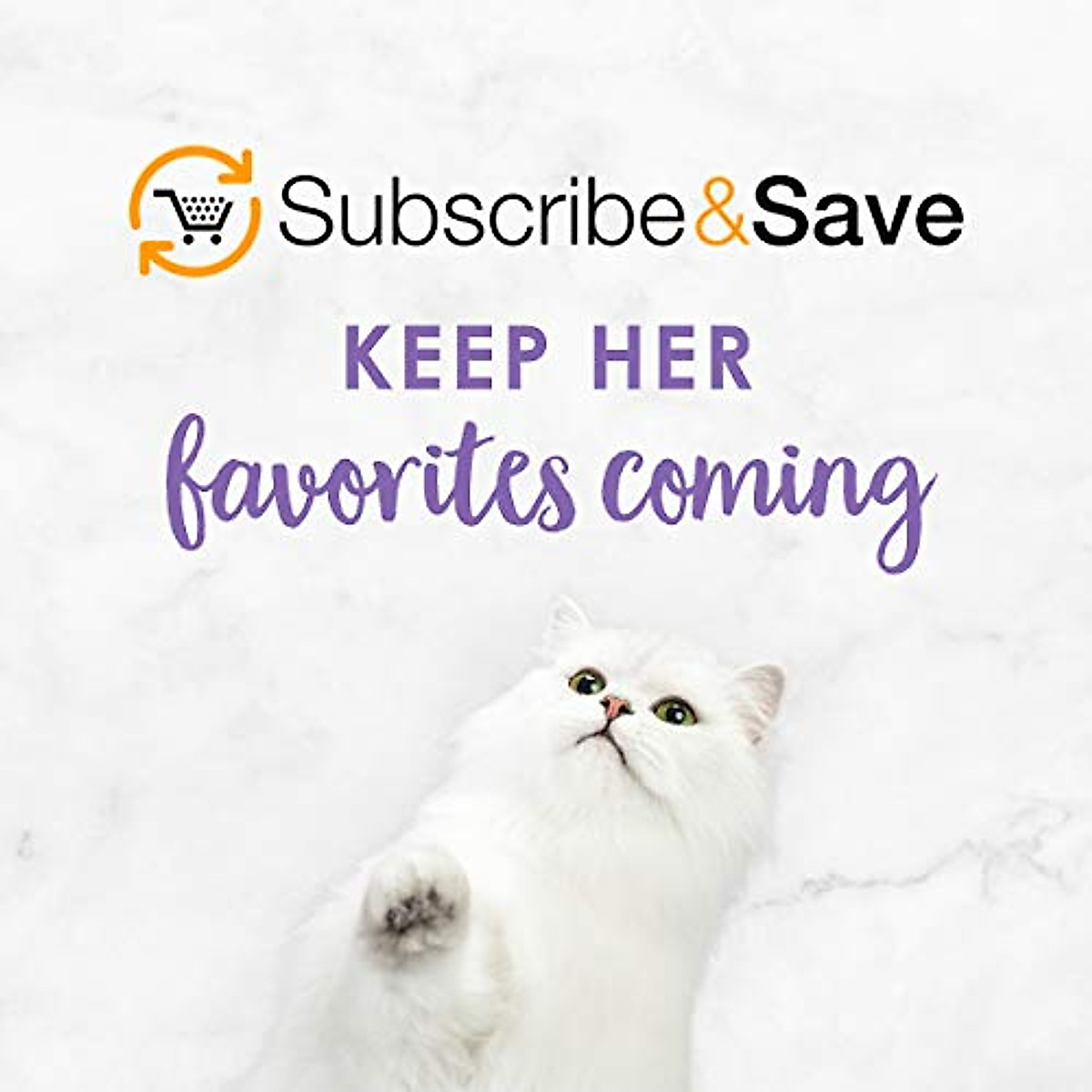 Purina Fancy Feast Dry Cat Food with Savory Chicken and Turkey - 3 lb. Bag