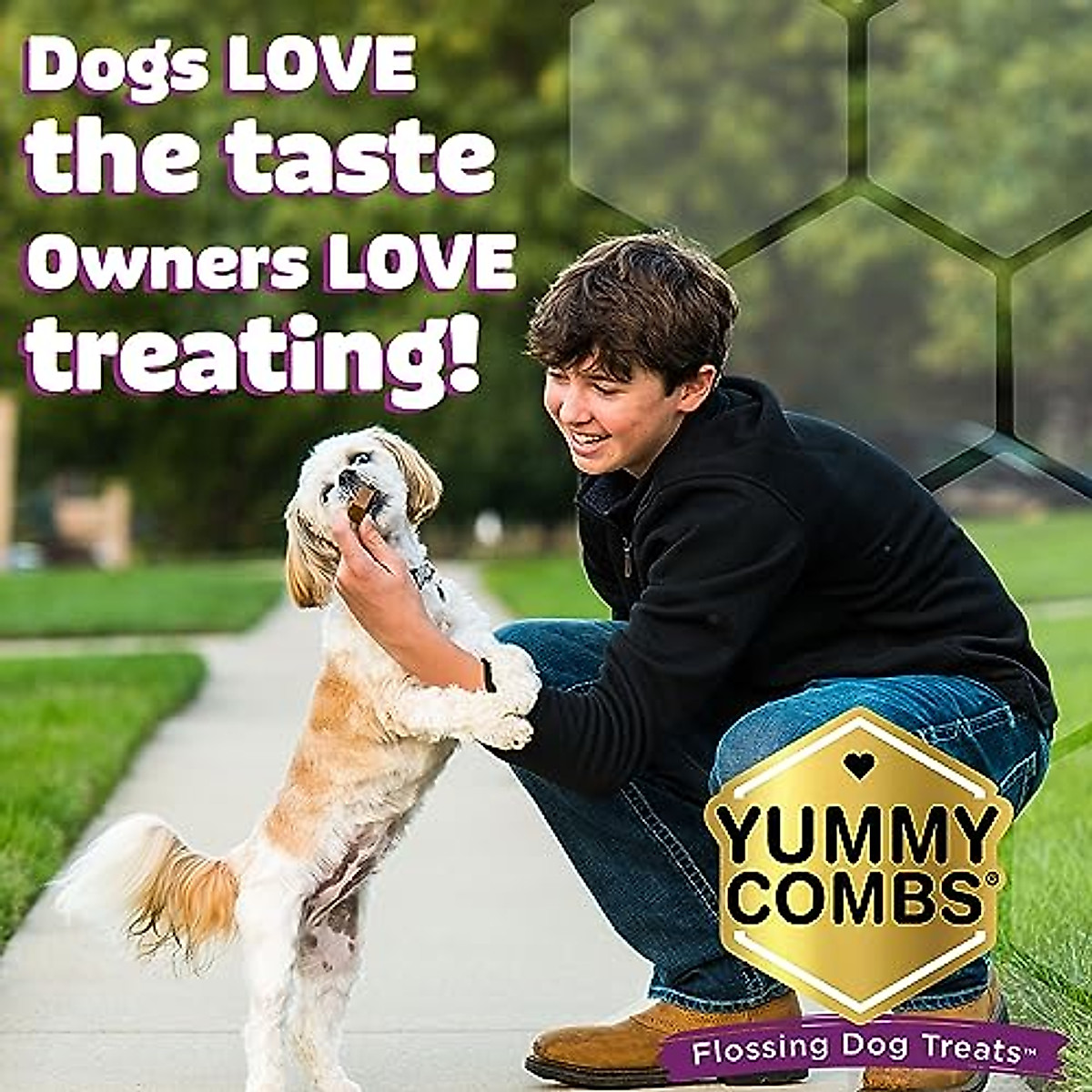 Yummy Combs Dog Dental Treats | Vet VOHC Approved | Protein Treat | Dental Care & Cleaning Comb Shape | Yummy Dog Treats | Dental Dog Treats for Small Dogs (12oz, 21 Count)