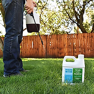 Superior Nitrogen & Potash 15-0-15 NPK- Lawn Food Quality Liquid Fertilizer - Concentrated - Any Grass Type- Simple Lawn Solutions Green, Growth - Lawn and Garden Rates - Phosphorus-Free (1 Quart)