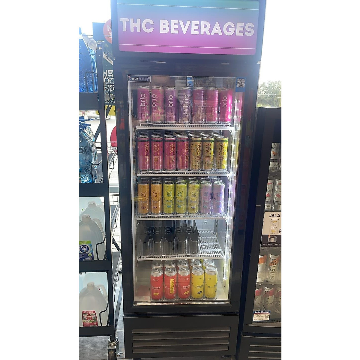 Commercial Beverage Refrigerator Display Fridge,13 Cu Ft Single Glass Door Merchandiser Drink Cooler with LED Light Adjustable Shelves,ETL and NSF Approval