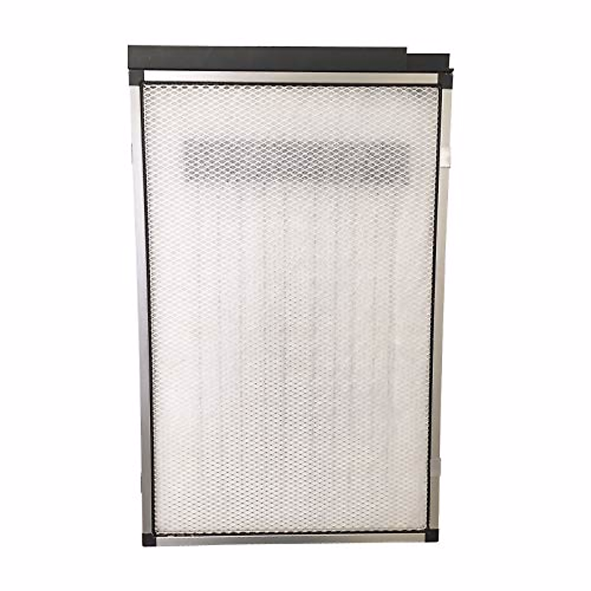 (W) Compatible with The Micropower Guard Filter 20 X 25 (4 Changes) F