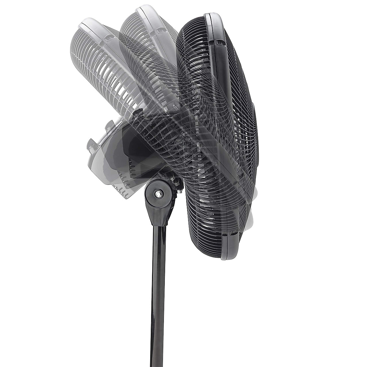Lasko 2521 16" Oscillating Stand Fan, 16 Inch, Black