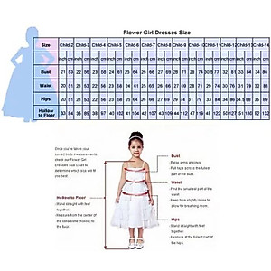 Hot Pink Floral Flower Patterns Ball Gowns for Toddler Infant Cupcake Flower Girl Dresses for Wedding with Straps Gold Embroidery White Satin Ruched 6