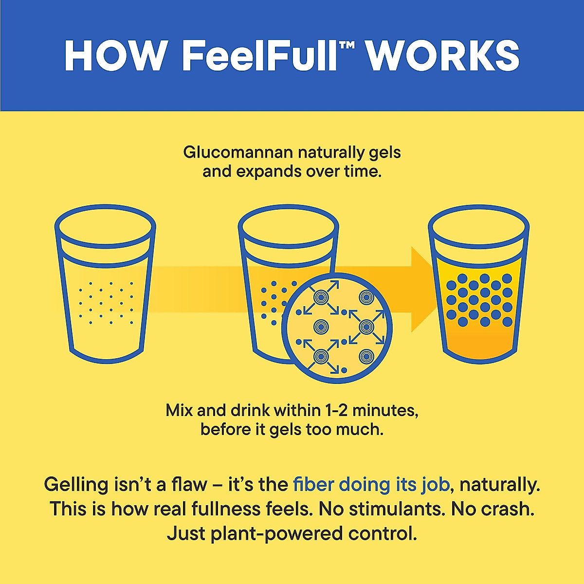 Daily Nouri FeelFull Prebiotic Fiber Drink Mix with Glucomannan & Chromium | for Natural Feeling of Fullness, Appetite & Cravings Support, Gut Microbiome & Metabolic Health | 30 Stick Packs