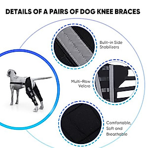 NATUYA Dog Knee Brace for Torn ACL Hind Leg, CCL, Luxating Patella, Dog Leg Braces with Side Stabilizers - Better Recovery and Prevent Licking, Relieves Joint Pain (Black, M)