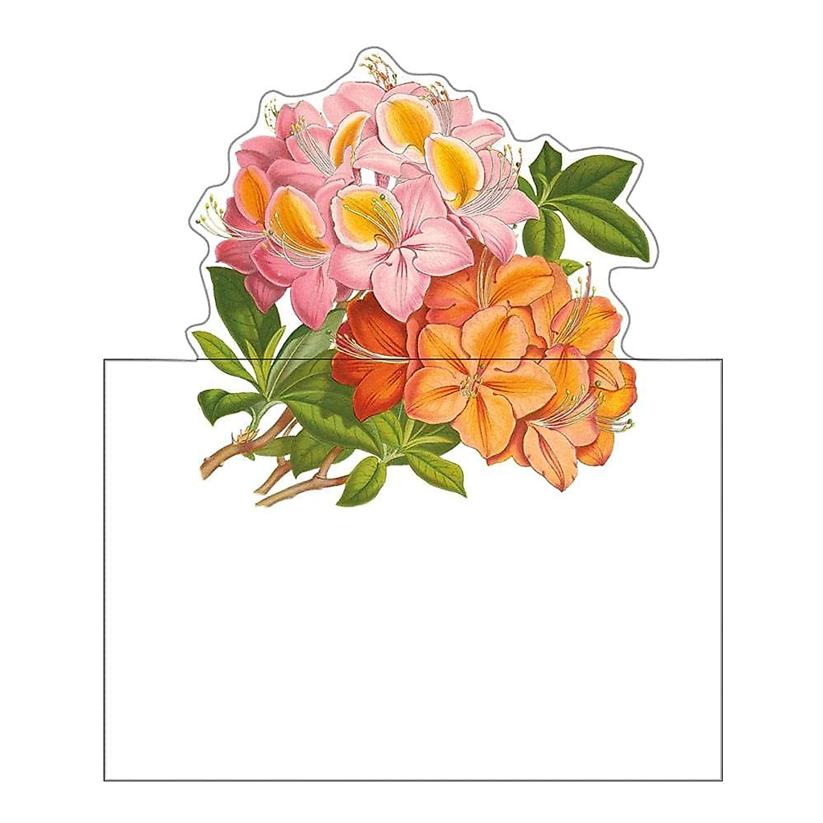 Caspari Jefferson's Garden Study Die-Cut Place Name Cards - 8 Per Package