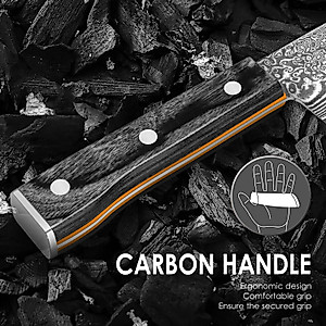 Damascus Chef Knife 8 Inch, Professional Japanese VG10 Damascus Steel Super Sharp Cooking Knife, G10 Ergonomic Color Wooden Handle with Luxury Gift Box