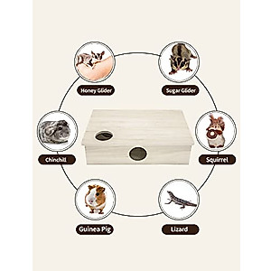 Rubor Multi-Chamber Hamster House Maze, Hamster Hideout Small Pets Woodland House Habitats Decor, Hamster Tunnels Activity Hamster Burrow for Hamster Mice Gerbils Lemming
