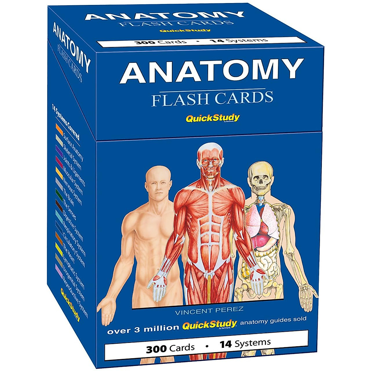 Anatomy Flash Cards: a QuickStudy Reference Tool