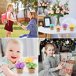 BlumWay Crochet Kit for Beginners, 5 Pcs Succulents Crochet Starter Kit, Beginner Crochet Kit for Adults, Crocheting Beginners Knitting Kit with Step-by-Step Teaching Video