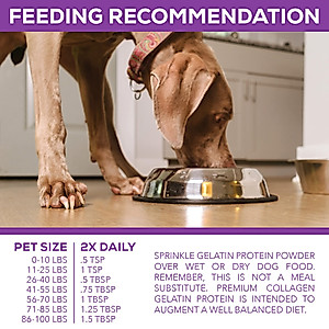 Step Above Proteins, Premium Collagen Gelatin Protein for Dogs, 8 Lb