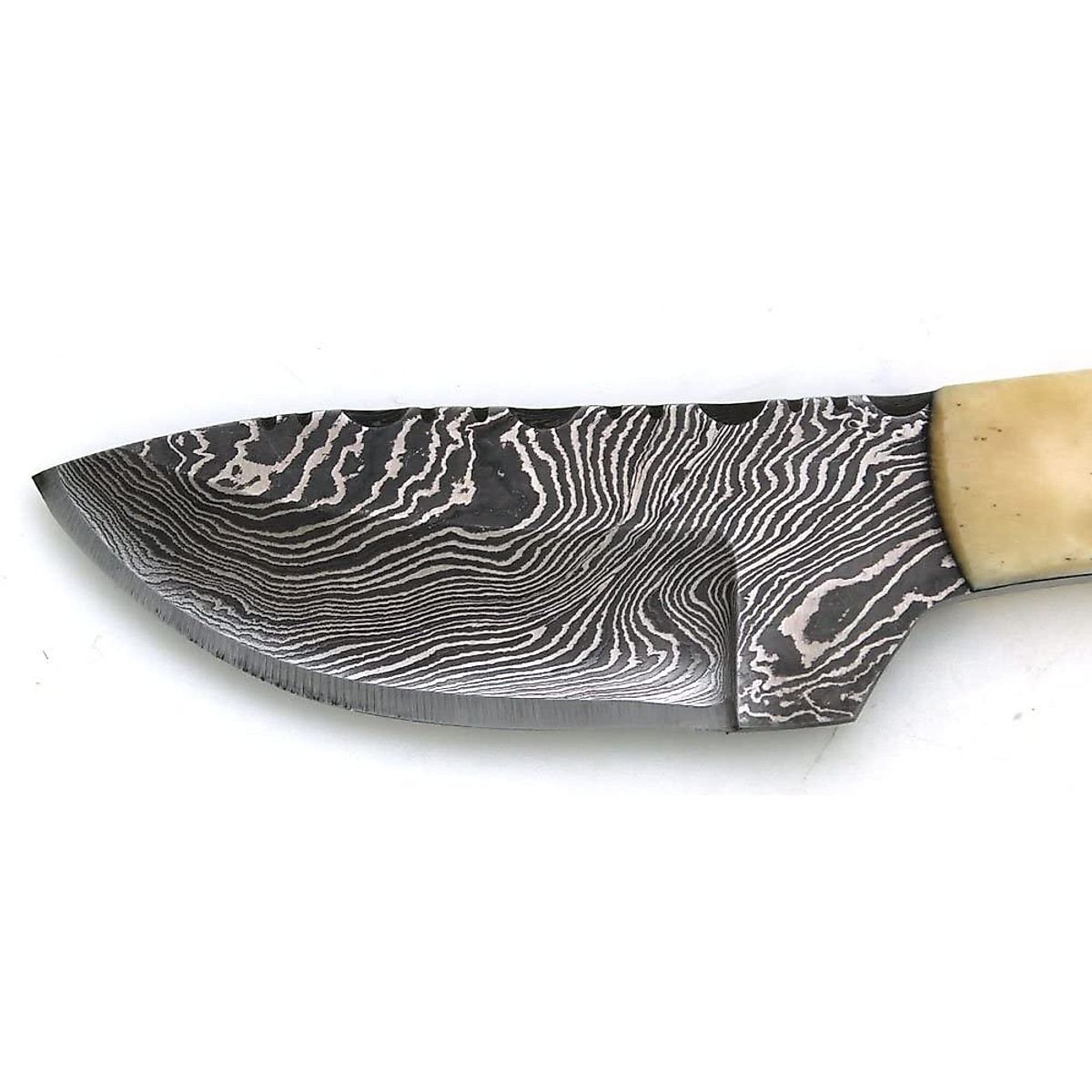 Wild Turkey Handmade Damascus Steel Collection Full Tang Bone Handle Fixed Blade Knife w/Leather Sheath Outdoors Hunting Camping Fishing (1)