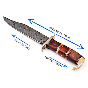 Zaildar Damascus Steel Bowi Knife Custom Handmade Knife Fixed Blade Knife Hunting Knives Survival Knife and Camping Knife with Bone and Rose Wood Handle with Leather Knife Sheath