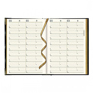 Brownline 2024 Executive Daily Planner, Appointment Book, 12 Months, January to December, Sewn Binding, 10.75" x 7.75", Trilingual, Black (CBE514-24)