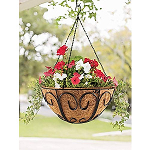 CABASAA 2 Pack Metal Hanging Planter Basket with Coco Coir Liner Chain Round Wire Plant Holder Flower Pots Hanger Garden Decoration Porch Decor Watering Hanging Baskets Indoor Outdoor (12 INCH New)