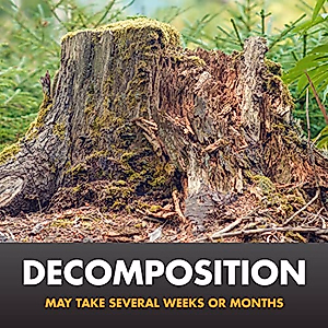 Spectracide HG-66420 Stump Remover, Case Pack of 1