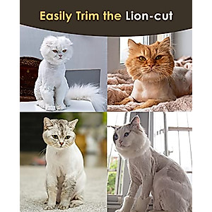 oneisall Cat Grooming Clippers for Matted Hair, 2-Speed Cat Grooming Kit Cordless Low Noise Pet Hair Clipper Trimmer for Dogs Cats Animals (Gray)