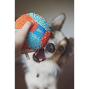 Chuckit! Indoor Fetch Ball Dog Toy (4.75 Inch), Orange and Blue