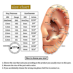 Conch Hoop Ring Hinged Segmet Clicker Seamless Nose Rings Hoops 316L Surgical Steel Rose Gold Septum Jewelry 16G Cartilage Tragus Earrings Helix Rook Daith Ring Lobe Lip Hoop Piercing Jewelry 10mm