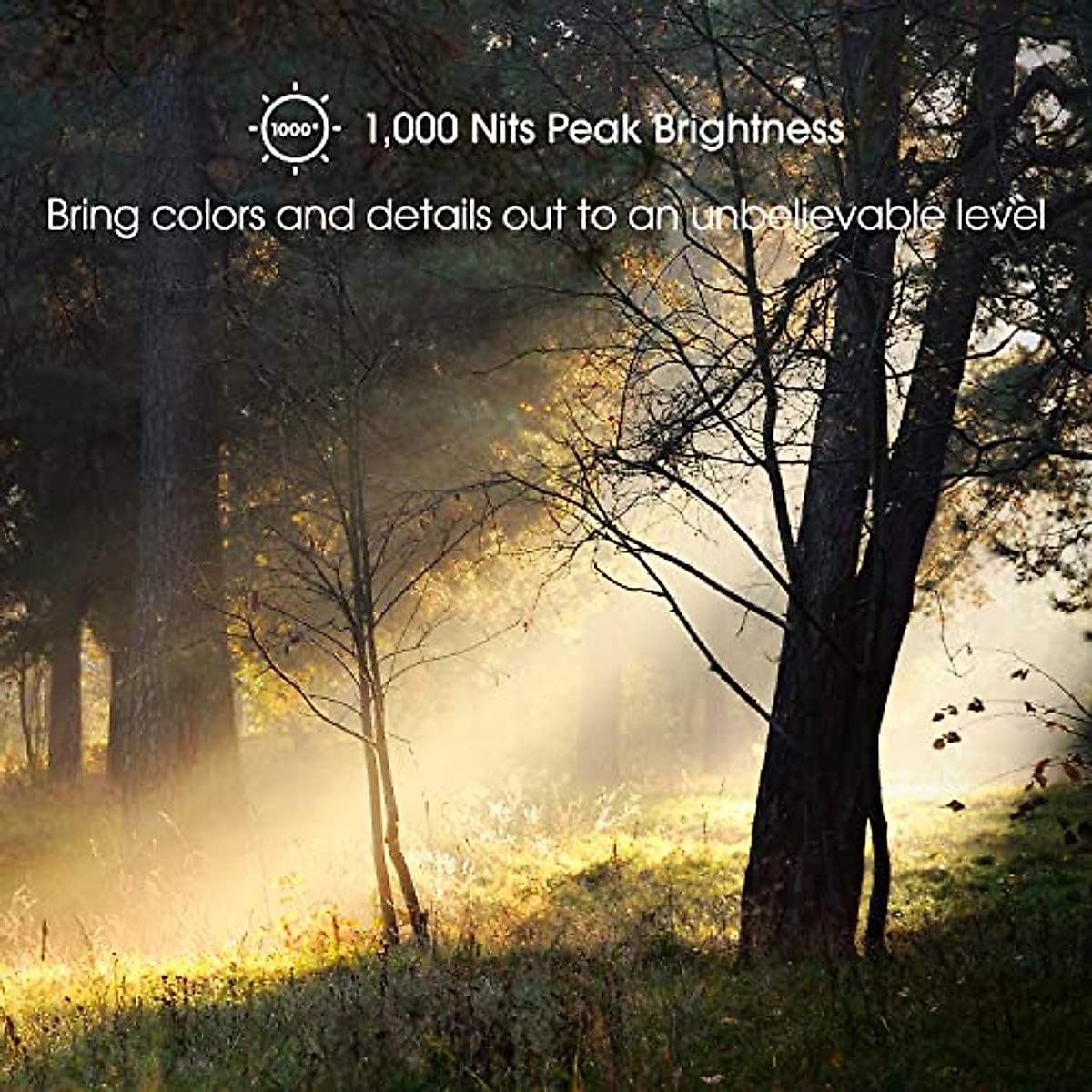 Hisense ULED Premium 55U7G QLED Series 55-inch Android 4K Smart TV with Alexa Compatibility, 1000-nit HDR10+, Dolby Vision & Atmos, 120Hz, HDMI 2.1, Game Mode Pro