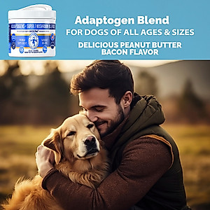 MEDii Pet Mushrooms for Dogs. 7 Types of Dog Mushrooms: Immunity, GI Health, Joints. Metabolism Booster. Can Improve Dog Health Holisitically - 125 Mini Hearts. Natural nutrients for All Dogs.