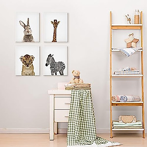 Set of Baby Animals | Safari Jungle Animal Pictures | Quality 11" x 14" Prints on 1.5" Thick Gallery Wrapped Canvas For Nursery Kids Room | Ready to Hang (4 Pack Baby Animal, 11" x 14")