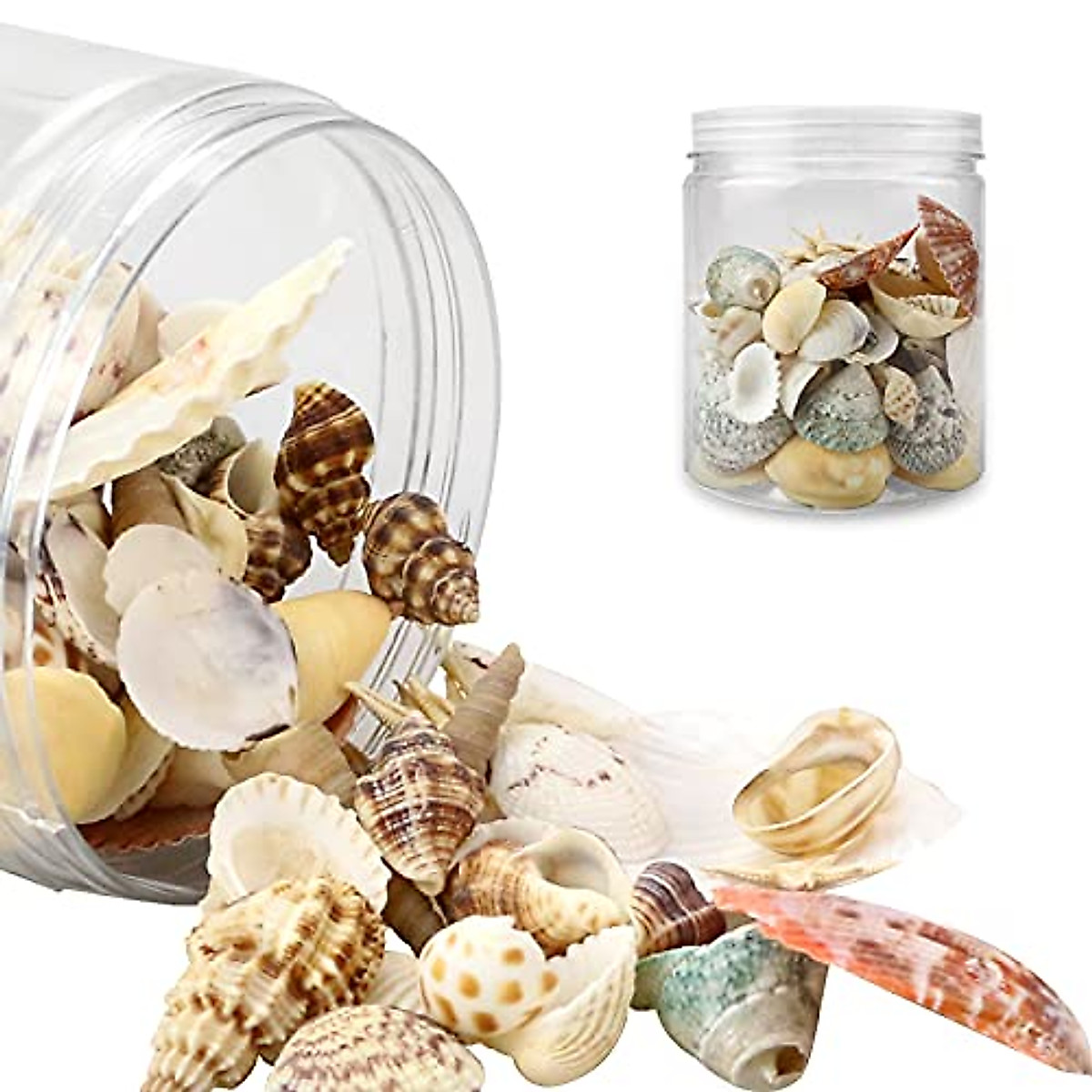 WEOXPR Mixed Sea Shells, 100+ Pcs Beach Seashells Starfish, Various Sizes Ocean Seashells for Fish Tank Vase Fillers, Beach Theme Party Wedding Decor, Candle Making, DIY Crafts, Home Decorations