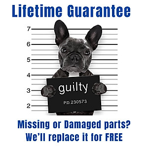 Model Shipways Lowell Grand Banks Dory 1:24 - MS1470CB - Wooden Model Ship Kit to Assemble - Level 1 Model Building Kit - Craft Kit for Adults - Includes All Tools Needed