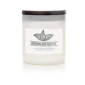 Colonial Candle Soothing Eucalyptus Scented Jar Candle, Wellness Collection, 2 Wick, 16 oz - Up to 120 Hours Burn