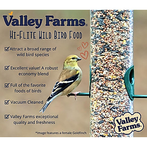 Valley Farms Hi-Flite Wild Bird Food for Outside Feeders- Best Value Economy Wild Bird Seed for All Species of Birds with Black Oil Sunflower, 5 LBS 2-Pack (10 LBS Total)