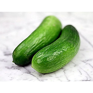 Grown in USA! 30+ Muncher Burpless Sweet Cucumber Seeds, Heirloom Non-GMO, Non-Bitter and Acid Free, Crispy and Sweet, Fragrant and Delicious, Cucumis sativus