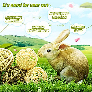 8 Pcs Small Animals Play Balls Rolling Activity Chew Toys Gnawing Treats for Rabbits Guinea Pigs Chinchilla Bunny Natural Balls, Pet Cage Entertainment Accessories (8 Pcs+ Pine Cone)