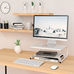 WALI Monitor Stand Riser, Desk Organizer with 2 Tiers Storage Shelf, Vented Metal Design for Laptop, Computer Monitor and Printer (STT001BW), 1 Pack, White
