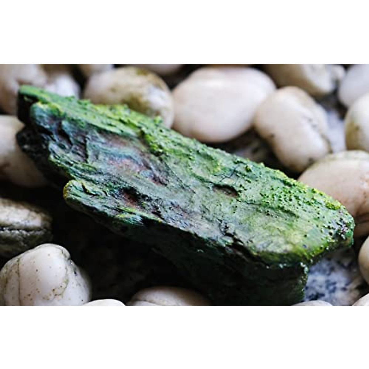 1shopforyou Random Selection Reptile Amphibian Habitat Decorative Garden Stakes 5X10 CM