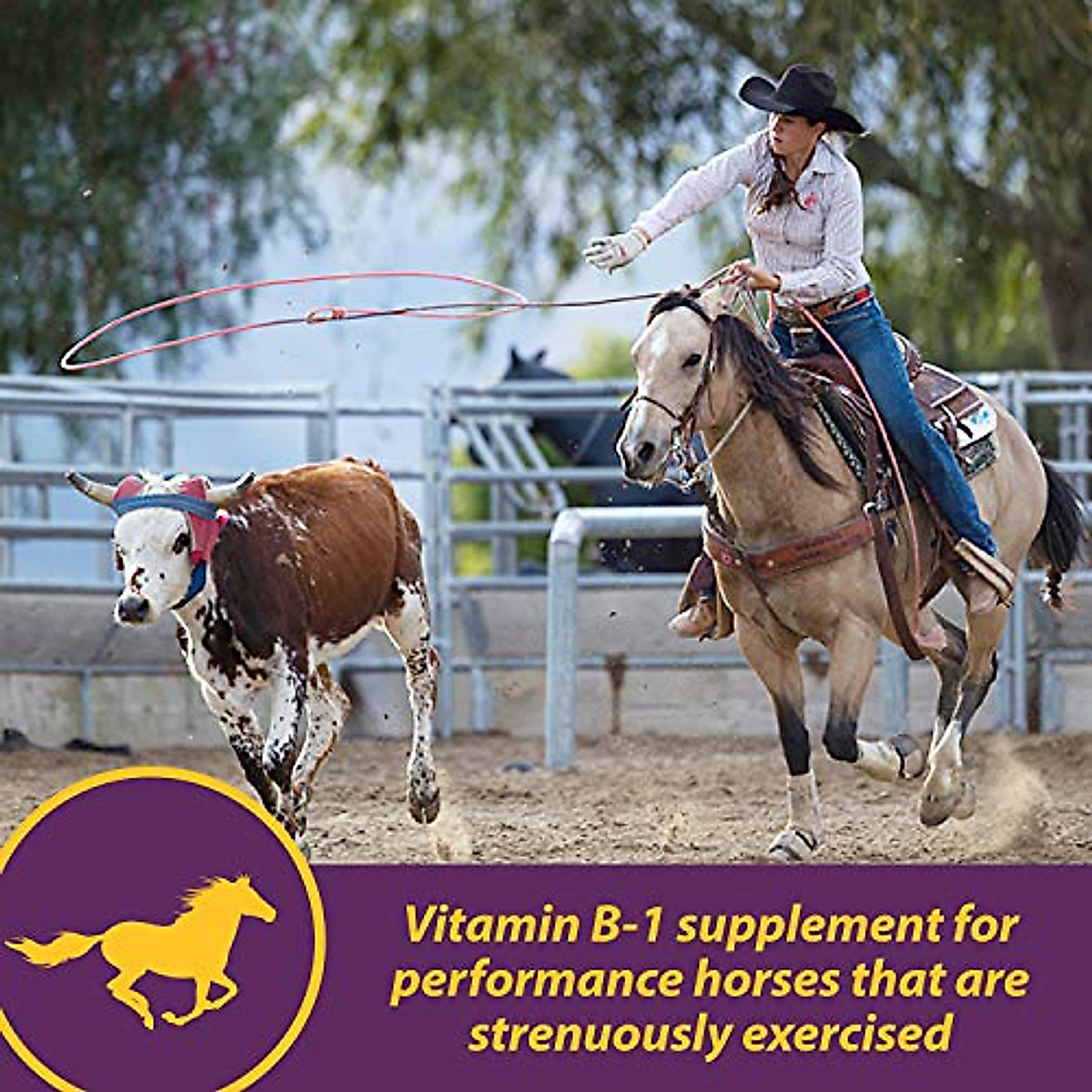 Horse Health Vita B-1 Crumbles Supplement for Horses, Supports optimal muscle activity and metabolism for performance, 20 pounds, 320 day supply