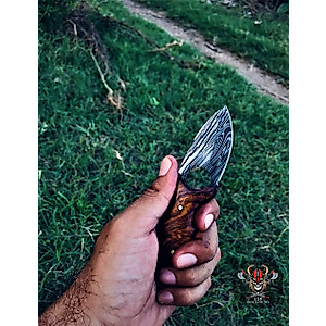 SDM Custom Handmade Hunting Knife Bush craft Knife Damascus Steel Survival Knife EDC 5'' Overall Walnut Wood With Sheath