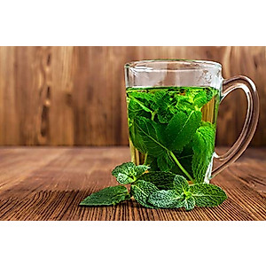 Sow Right Seeds - Peppermint Seeds for Planting - Non-GMO Heirloom Seeds - Full Instructions for Easy Planting and Growing an Herbal Tea Garden, Indoors or Outdoor; Great Gardening Gift