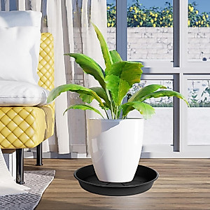 OVZILKI 6 Pack of Plant Saucer Tray 4 6 8 10 12 14 17 19 22 25 inch, Heavy Duty Plastic Pot Plant Drip Trays Saucers for for Indoors Outdoor, Plant Water Tray for Planters 3-5" (4", Black)