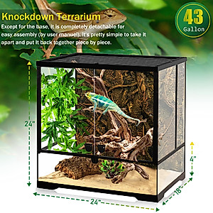 NEPTONION 43 Gallon Professional Glass Terrarium 24"x18"x24" Durable Reptile Habitat Tank with Heat Resistant Aluminum Alloy Frame, Dual Front Swinging Doors for no Jam by Sand and Other Debris