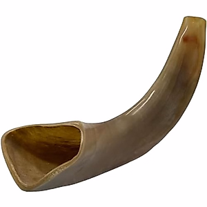 Authentic & Kosher Polished Ram's Horn Shofar from Israel (16" -18")
