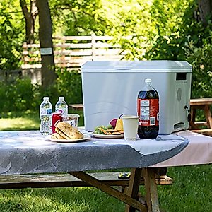 Koolatron Thermoelectric Iceless 12V Cooler/Warmer 36 qt (34 L), Electric Portable Car Fridge w/ 12 Volt DC Power Cord, Gray/White, Travel Road Trips Camping Fishing Trucking, Made in North America